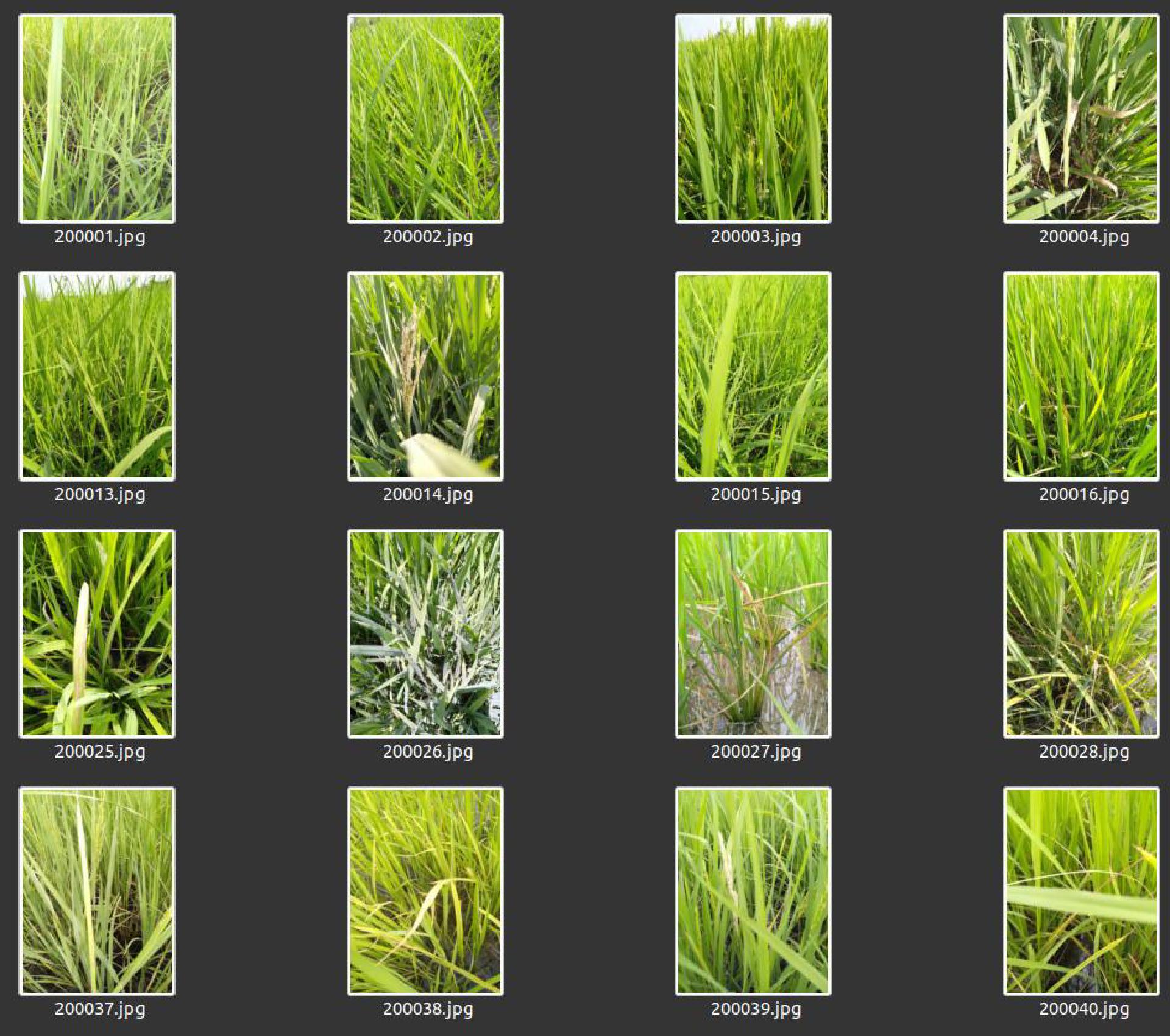 Pytorch At The Edge Deploying Over 964 Timm Models On Android With Torchscript And Flutter
