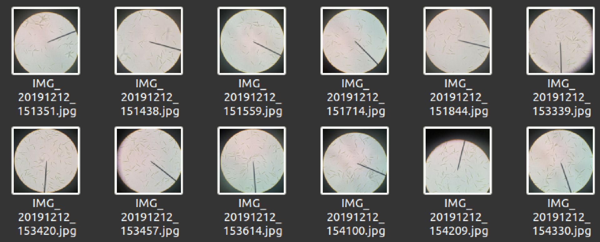 Training a Deep Learning Model for Cell Counting in 17 Lines of Code ...